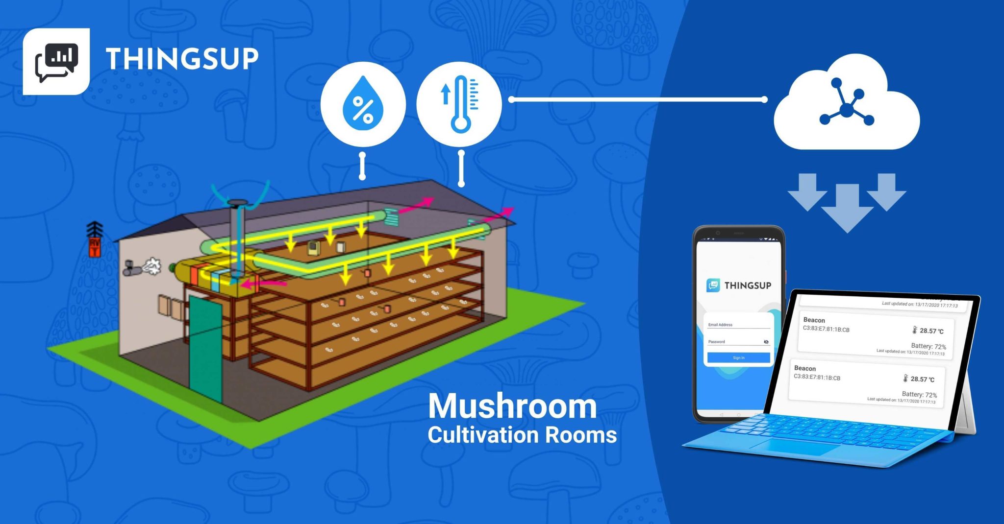 How Mushroom Producer increase Yield by monitoring cultivation rooms ...